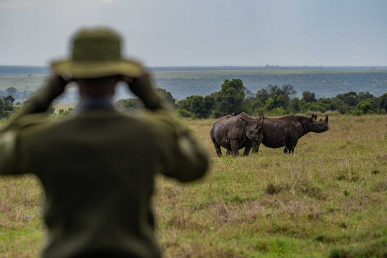 Zeitz Foundation – Inspiring & achieving the highest standards in ...